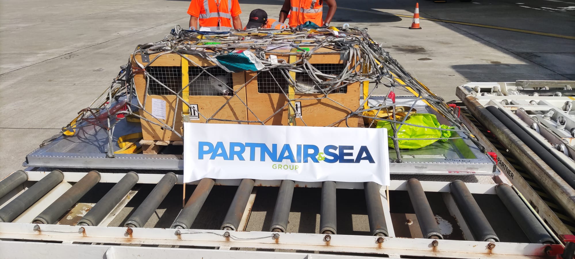 Partnair&Sea - Transport renards polaires - Partnair&Sea